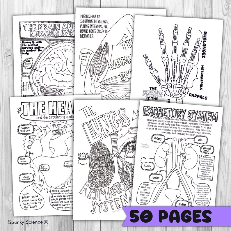 Cells to Body Systems Coloring Book - Etsy