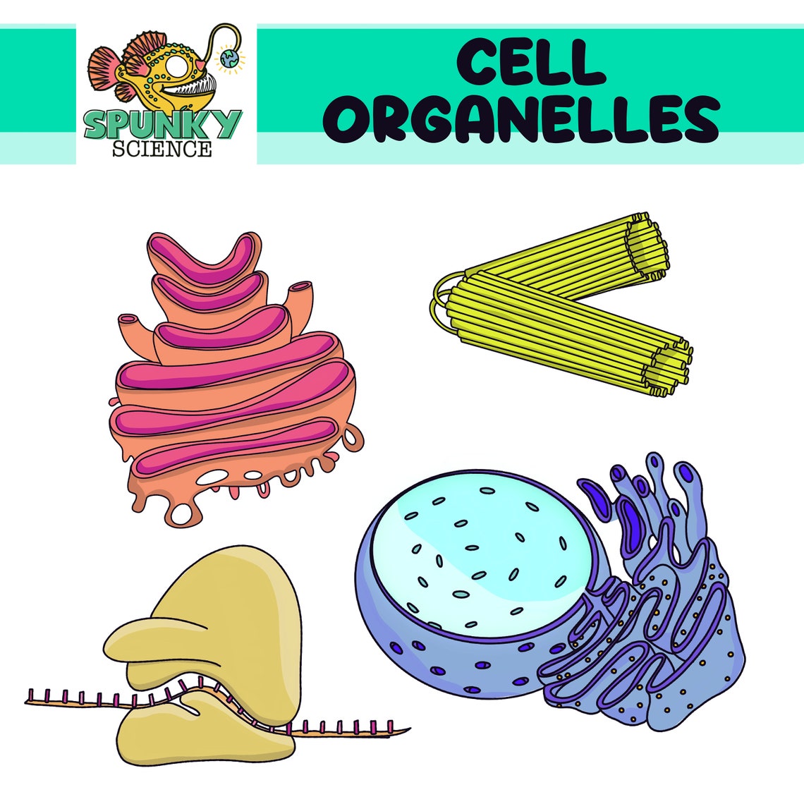 Cell Organelles Commercial Clip Art Set - Etsy