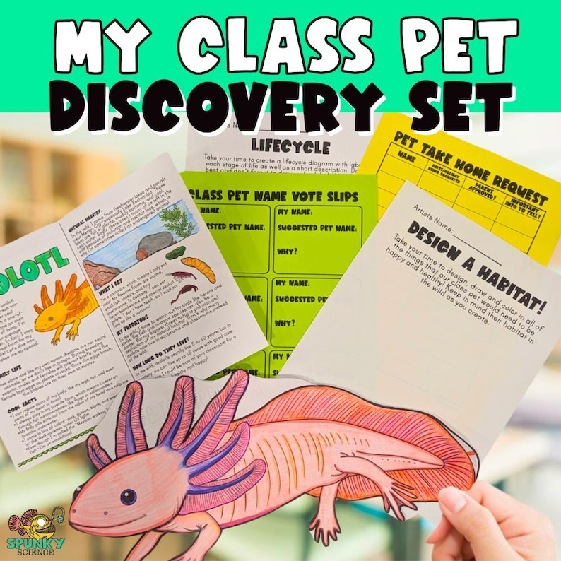 Axolotl Class Pet Activity – STEM, Reading, Research, Writing & Drawing ...