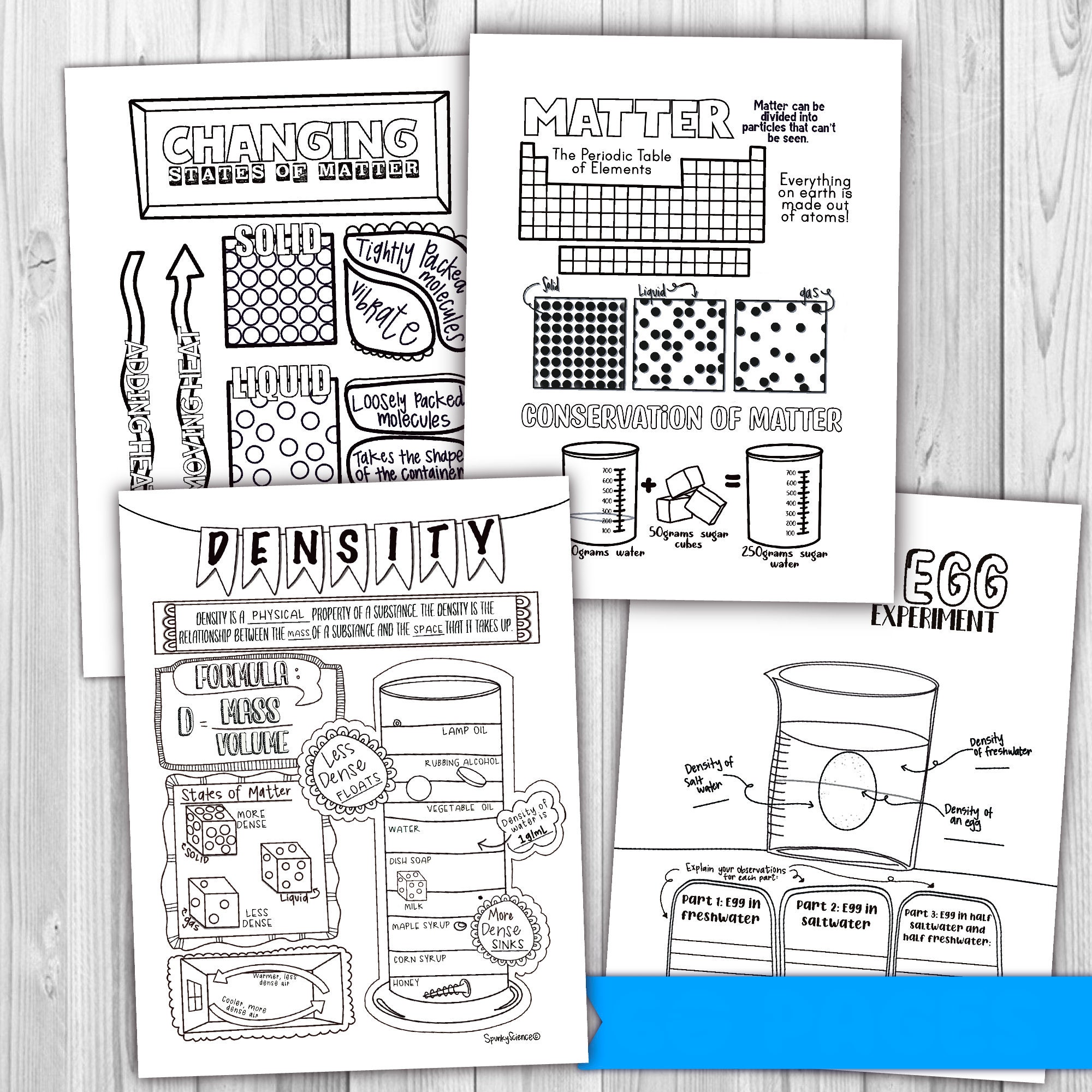 6th Grade TEKS Coloring Book - Etsy