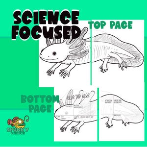 Axolotl Class Pet Activity – STEM, Reading, Research, Writing & Drawing ...