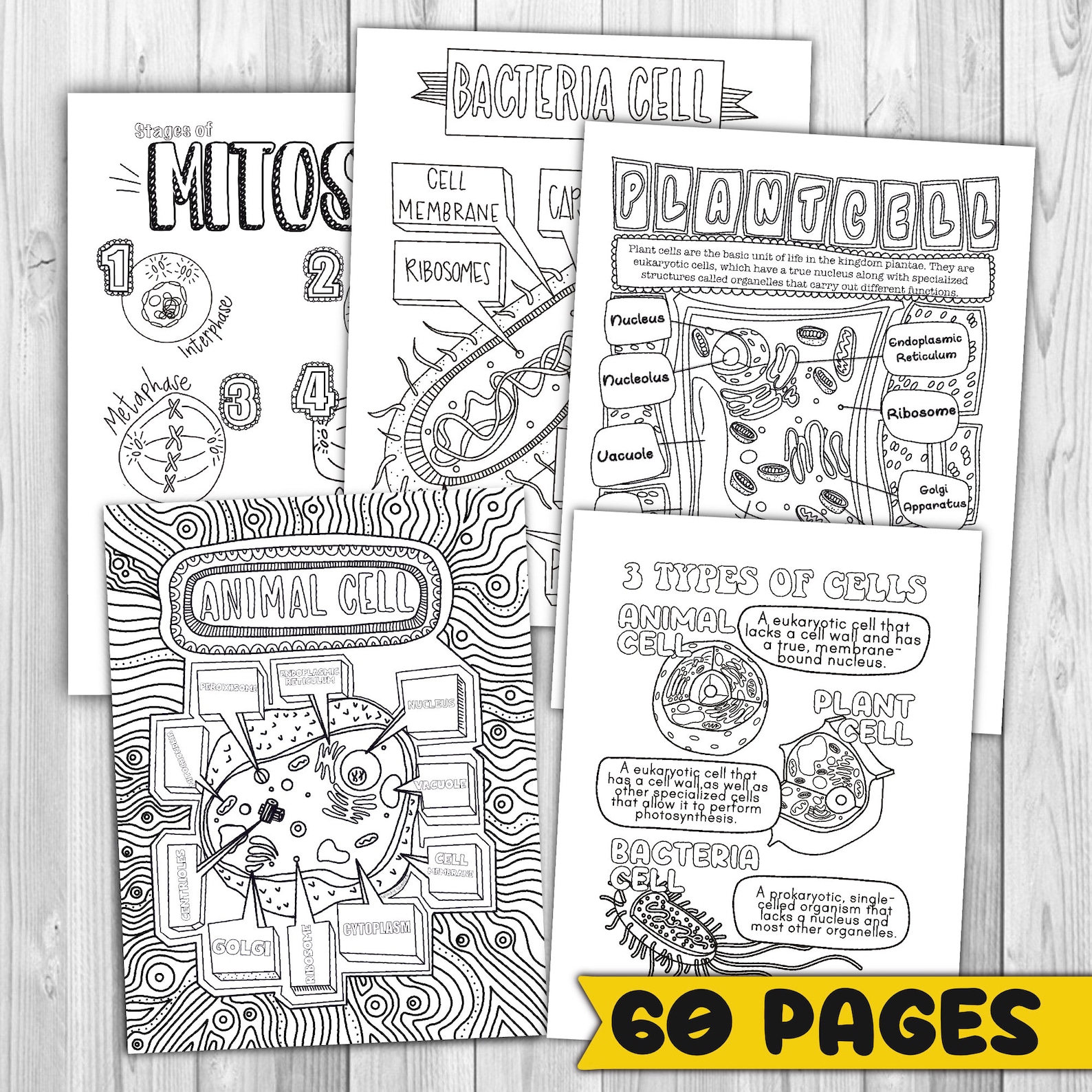 Life Science Educational Coloring Book - Etsy