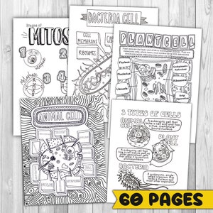 Life Science Educational Coloring Book - Etsy
