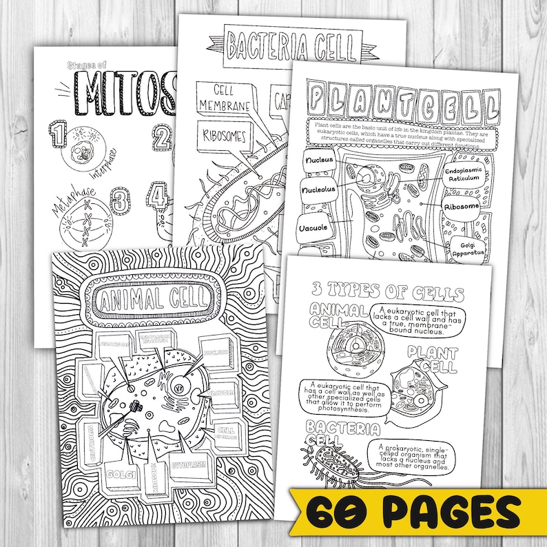 Life Science Educational Coloring Book - Etsy