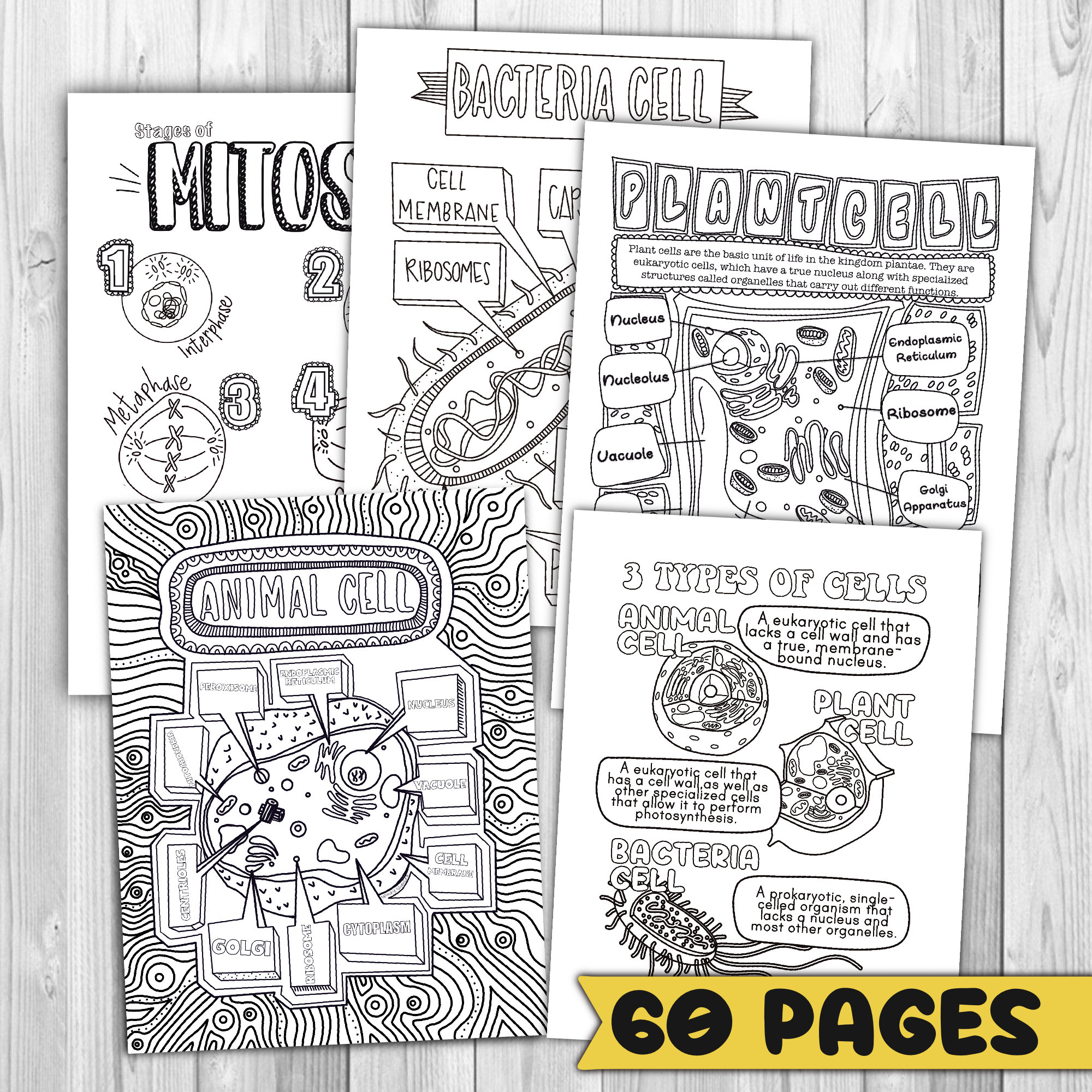 Life Science Educational Coloring Book - Etsy