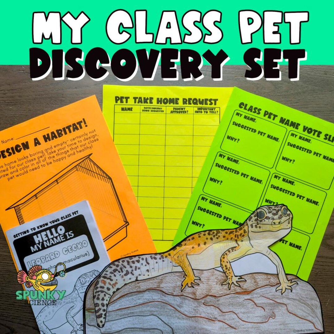 Meet the Class Leopard Gecko-a STEM Introduction - Etsy