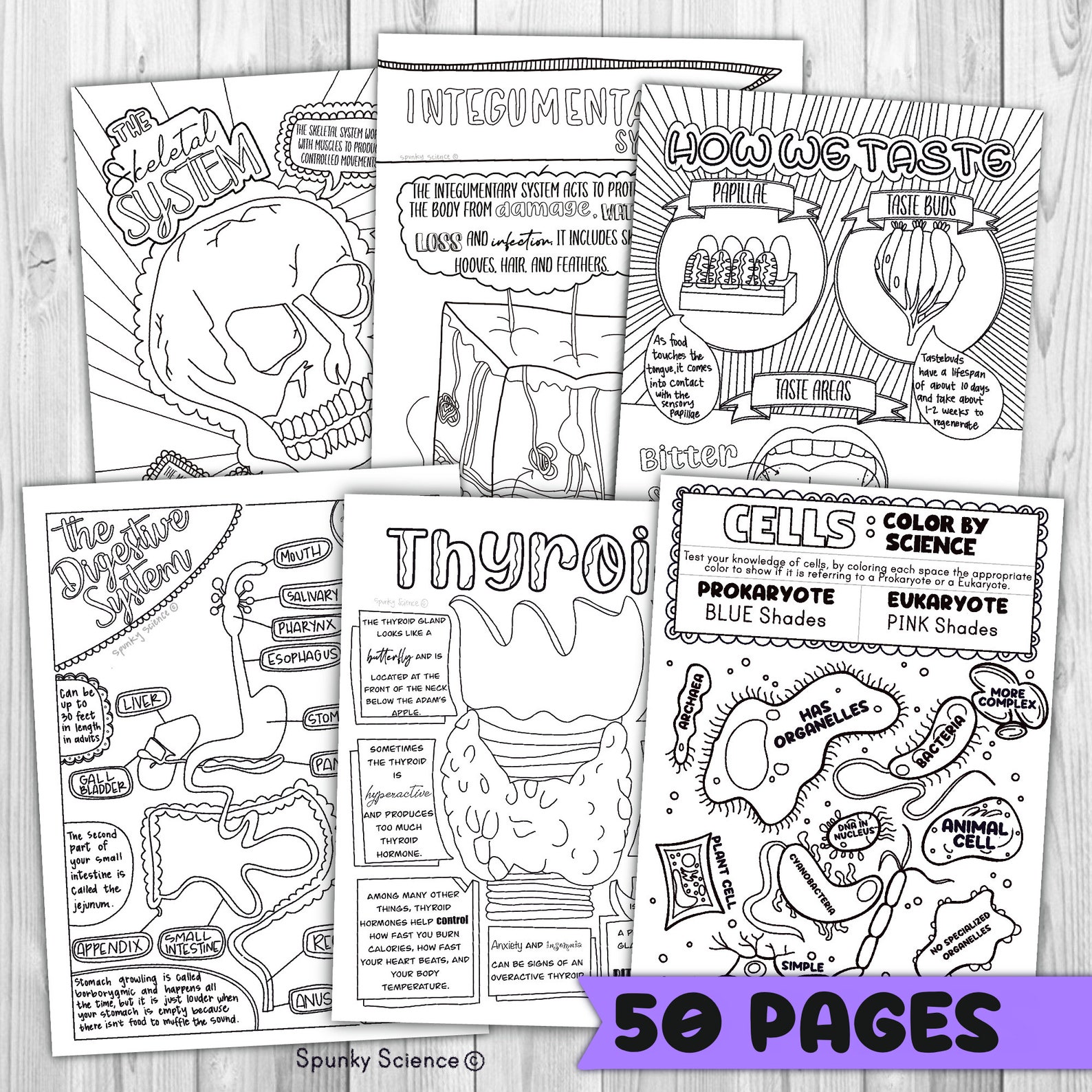 Cells to Body Systems Coloring Book - Etsy