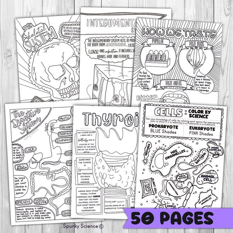 Cells to Body Systems Coloring Book - Etsy