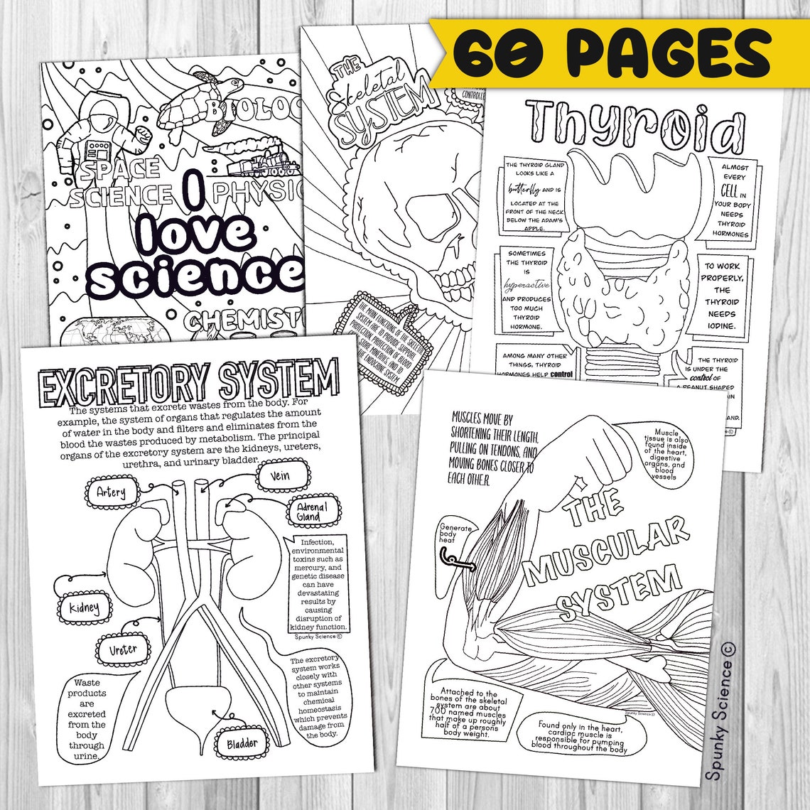Life Science Educational Coloring Book - Etsy