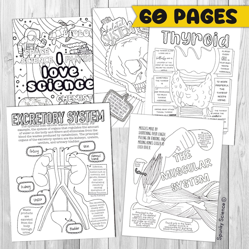 Life Science Educational Coloring Book - Etsy