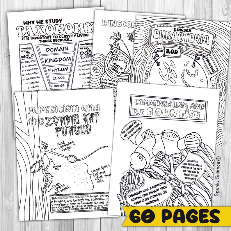 Life Science Educational Coloring Book - Etsy