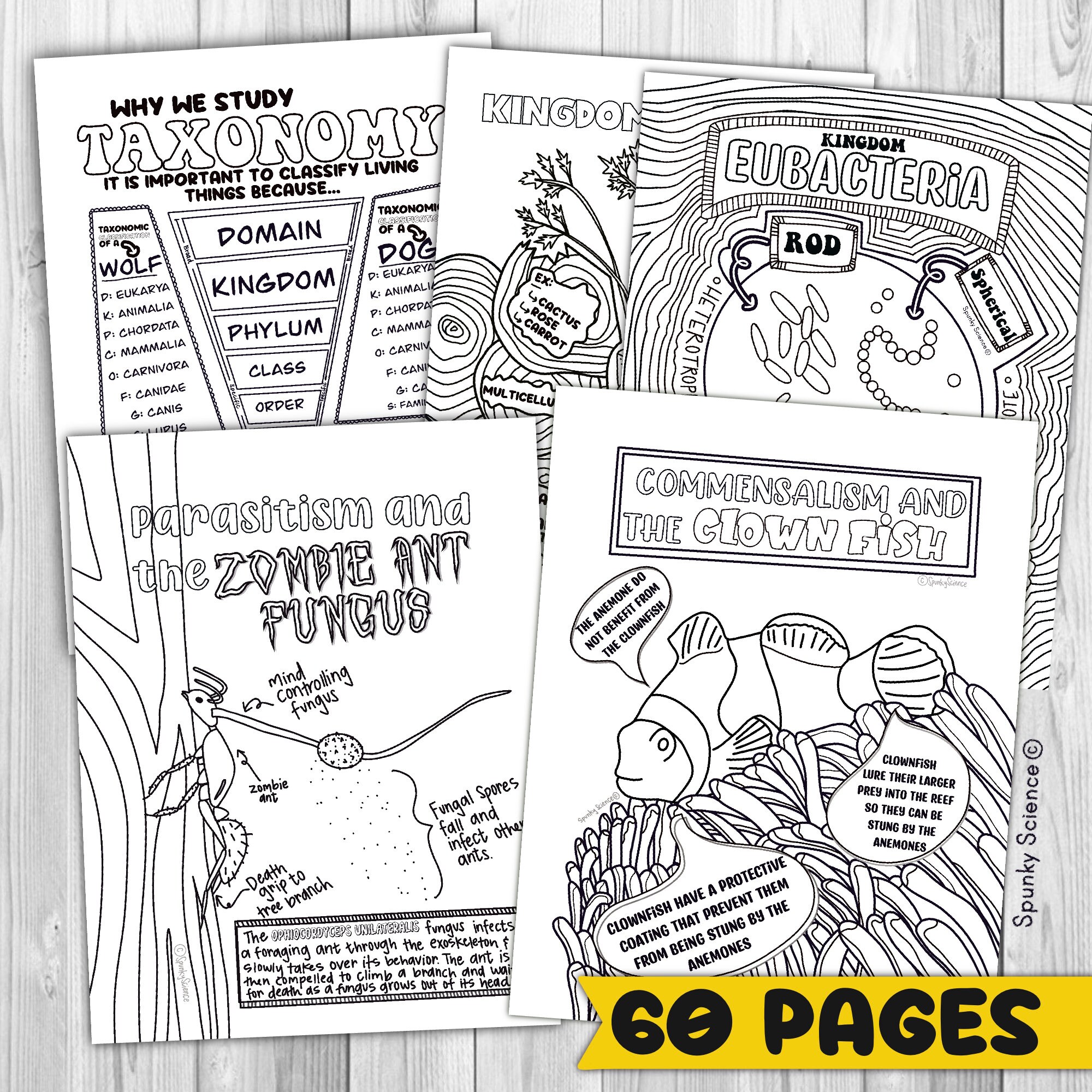 Life Science Educational Coloring Book - Etsy
