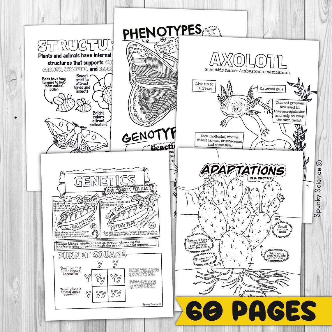 Life Science Educational Coloring Book - Etsy