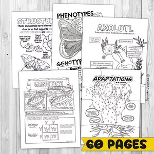 Life Science Educational Coloring Book - Etsy