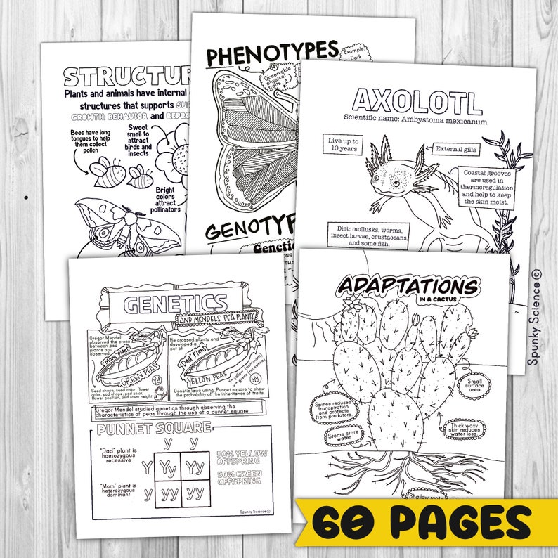 Life Science Educational Coloring Book - Etsy