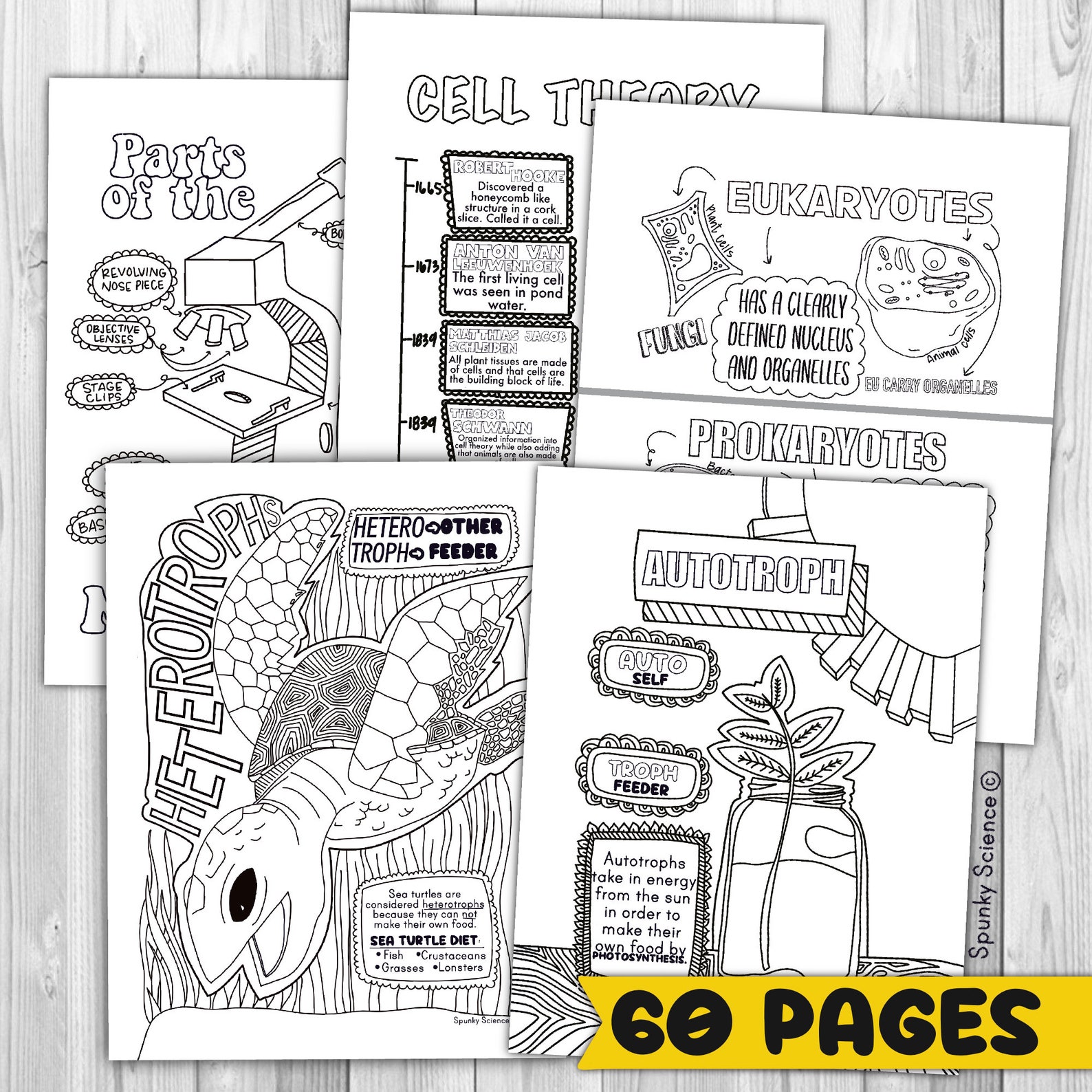 Life Science Educational Coloring Book - Etsy
