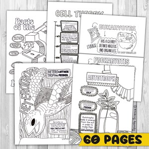 Life Science Educational Coloring Book - Etsy
