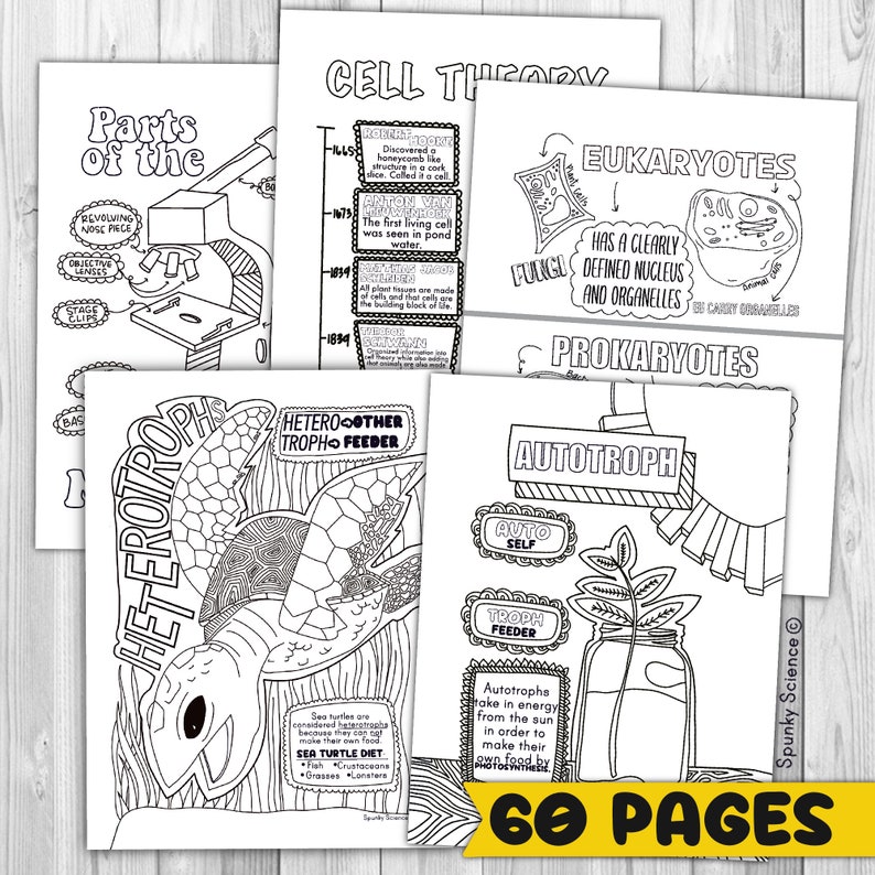 Life Science Educational Coloring Book - Etsy