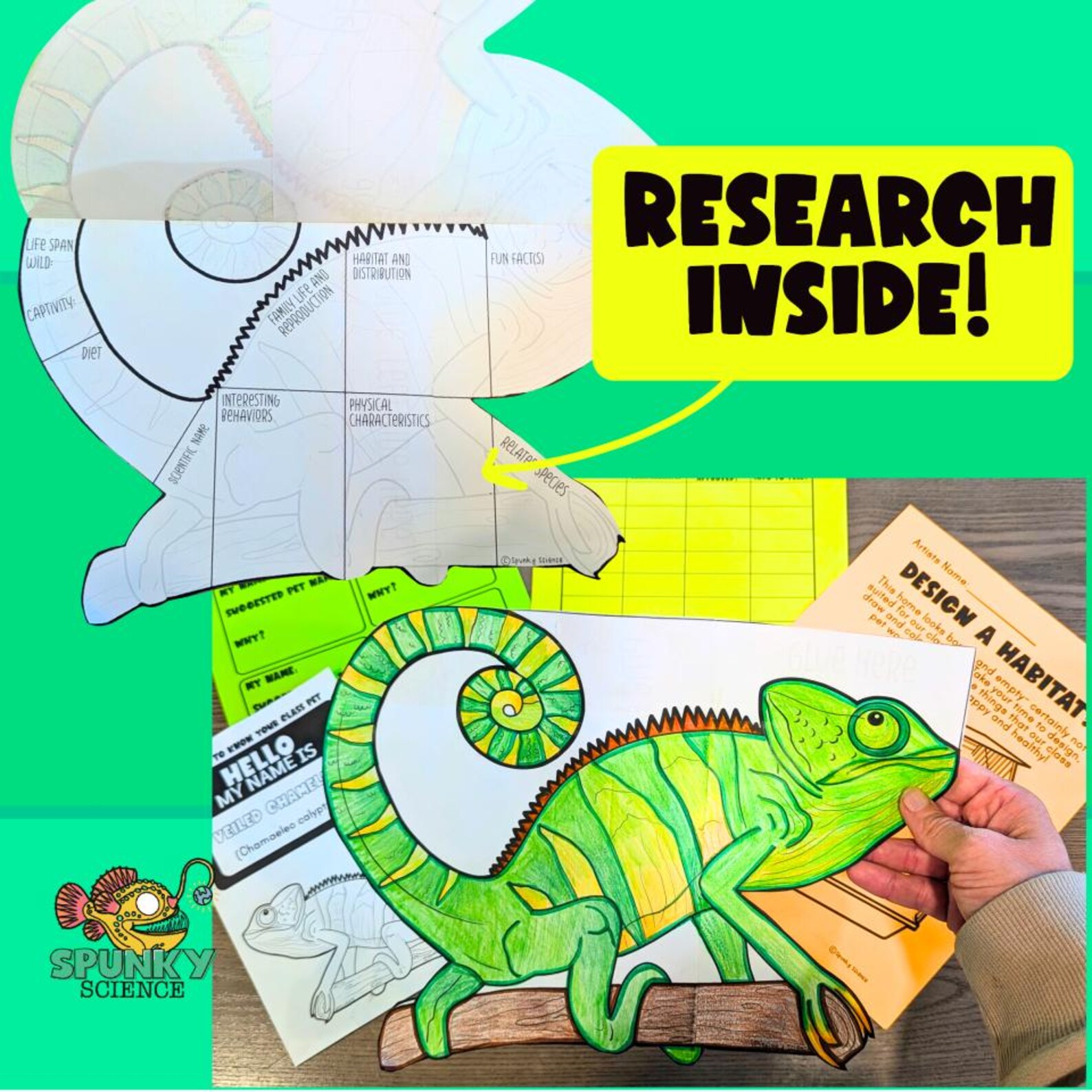Meet the Class Pet Chameleon- A STEM Introduction - Etsy