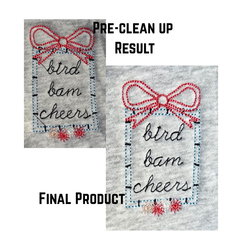 Bird Bam Cheers Embroidery File - Etsy