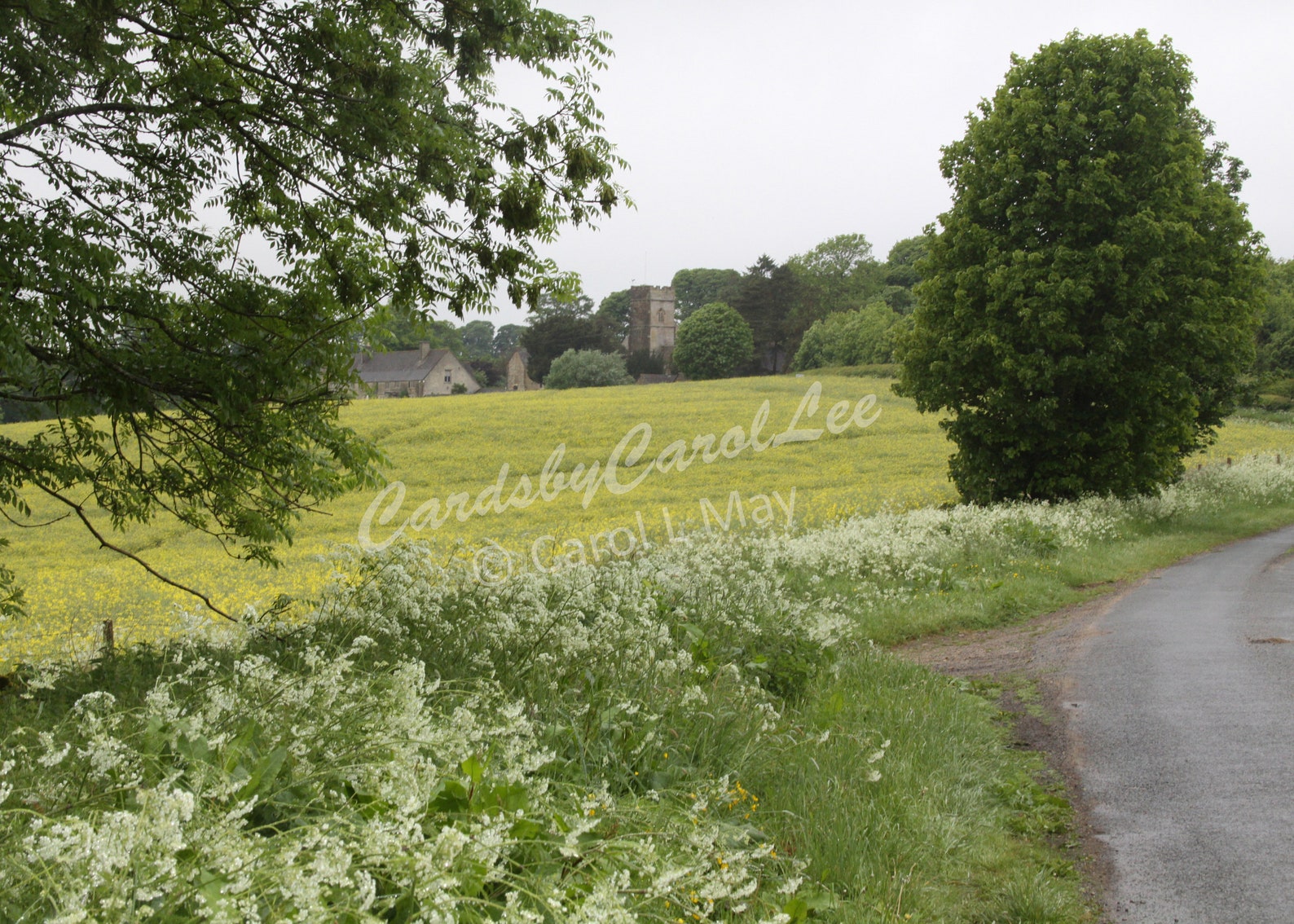 Spring in the Cotswolds, England - Set of 10 5x7 Notecards - Cotswolds ...