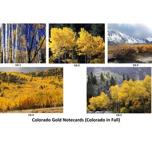 Fall in Colorado - a Set of 10 5x7 Notecards of Colorado Autumn Scenes ...