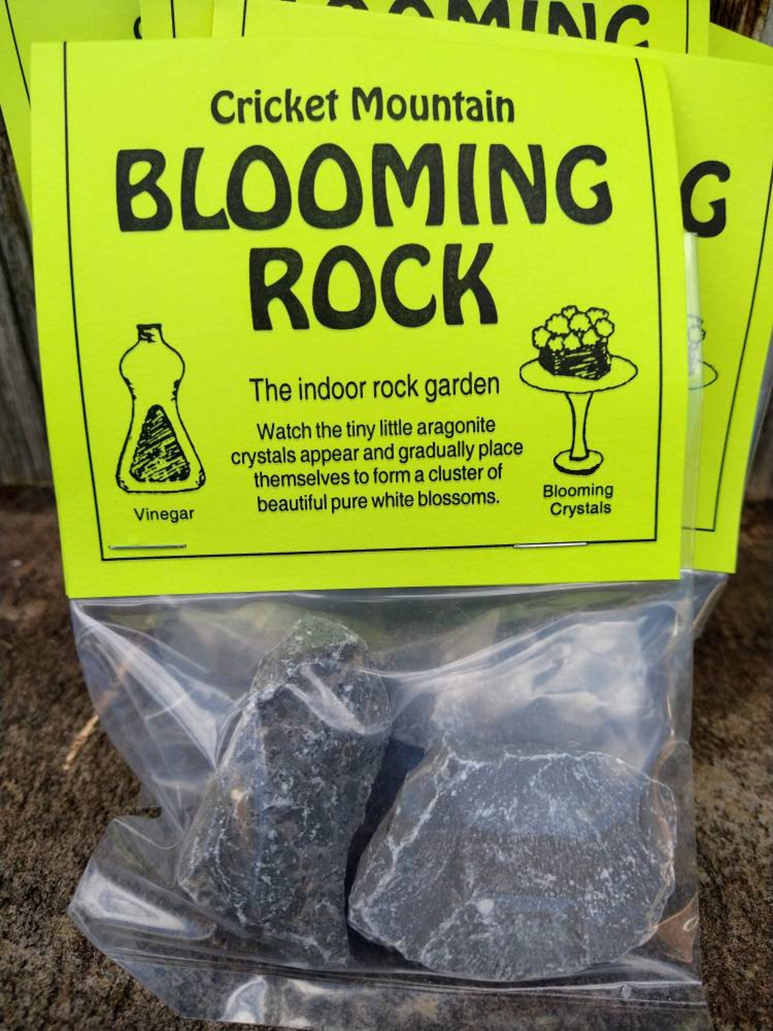 2 Pack BLOOMING ROCK Grow Your Own Crystals Kits - Etsy