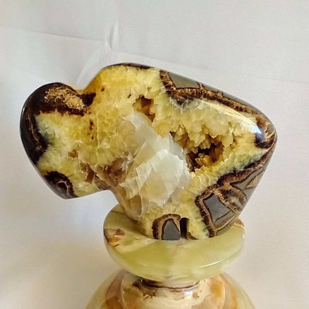 Septarian Nodule Bison Stone Bison Carving Hollow Crystals - Etsy