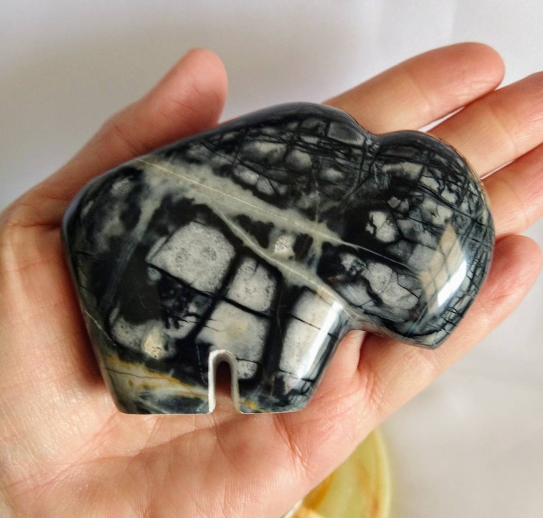 Picasso Marble Bison Utah Picasso Jasper - Etsy
