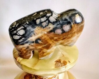 Picasso Marble Bison Utah Picasso Jasper - Etsy