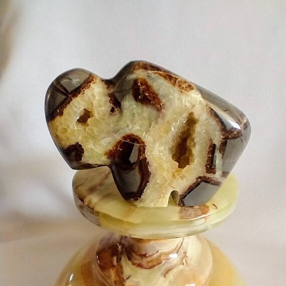 Septarian Nodule Bison Stone Bison Carving Hollow Crystals | Etsy