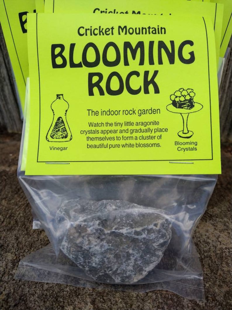 2 Pack BLOOMING ROCK Grow Your Own Crystals Kits - Etsy