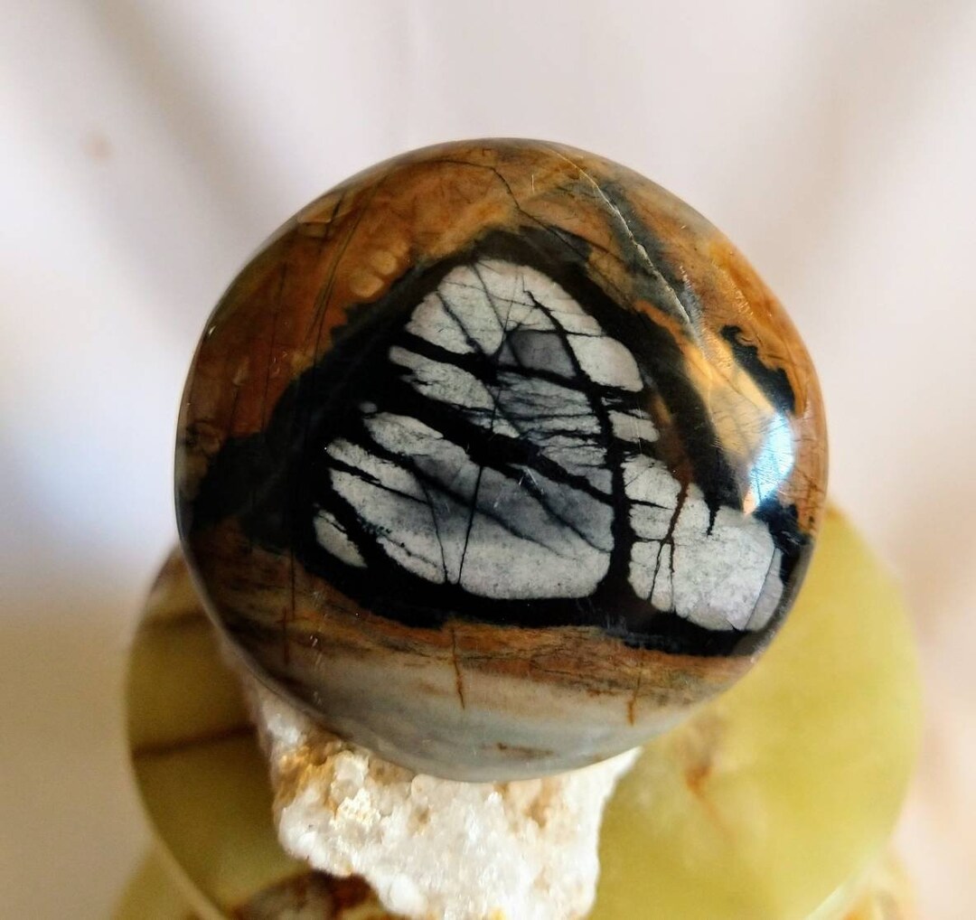 Picasso Marble Cabochon Utah Picasso Jasper Cab - Etsy