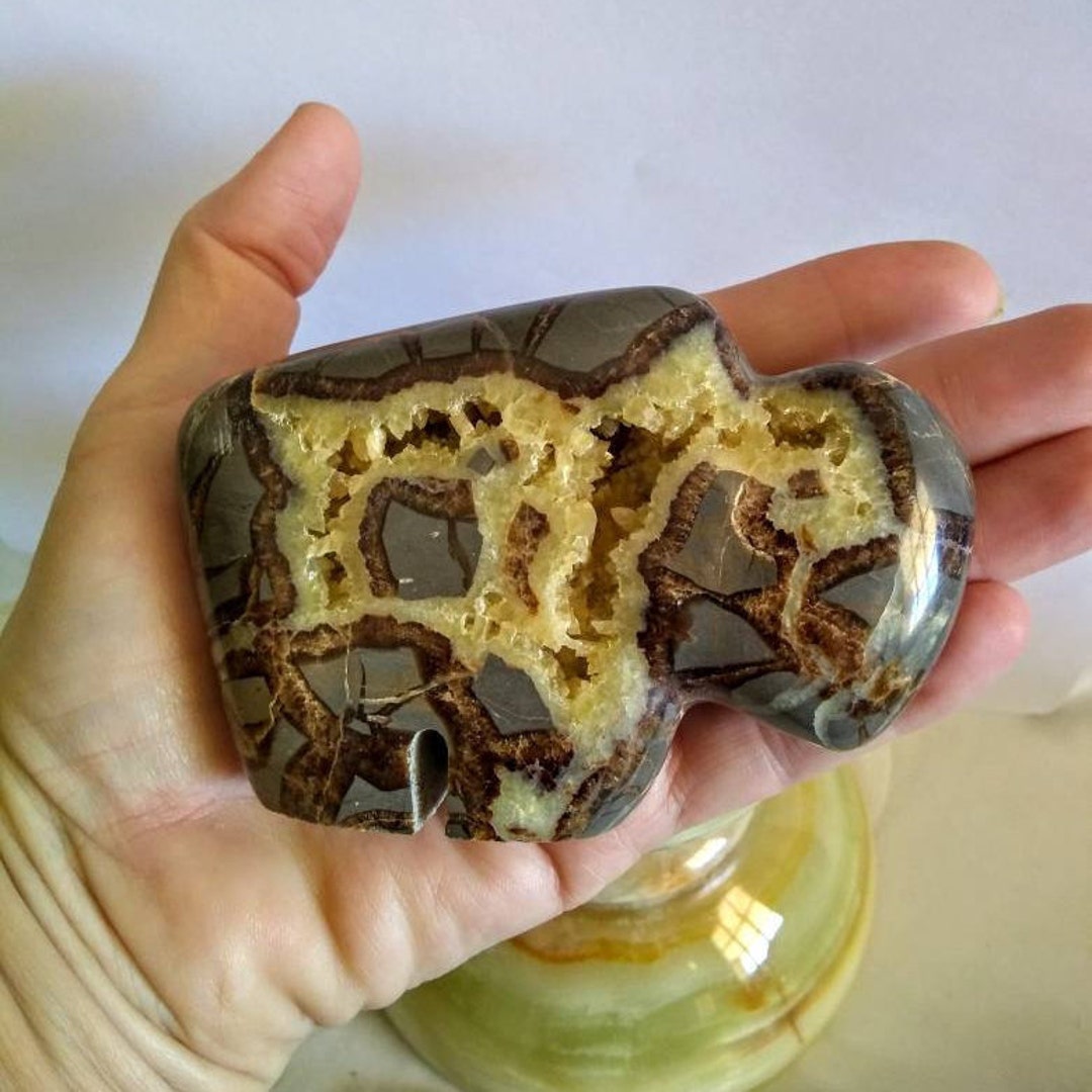 Septarian Nodule Bison Stone Bison Carving Hollow Crystals - Etsy