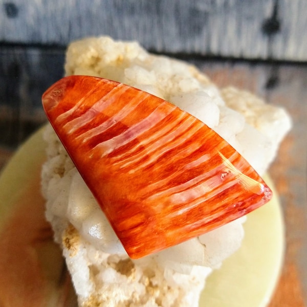 Spiny Oyster Beads - Etsy