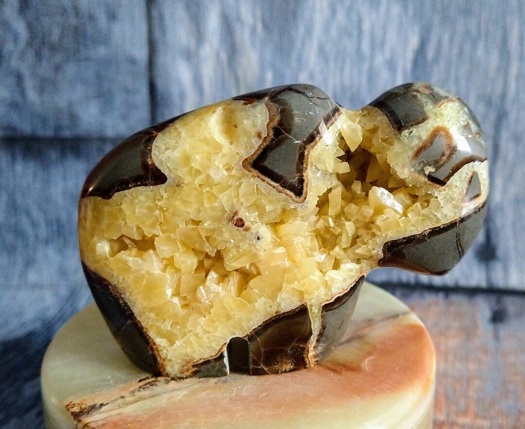 Septarian Nodule Bison Stone Bison Carving Hollow Crystals - Etsy