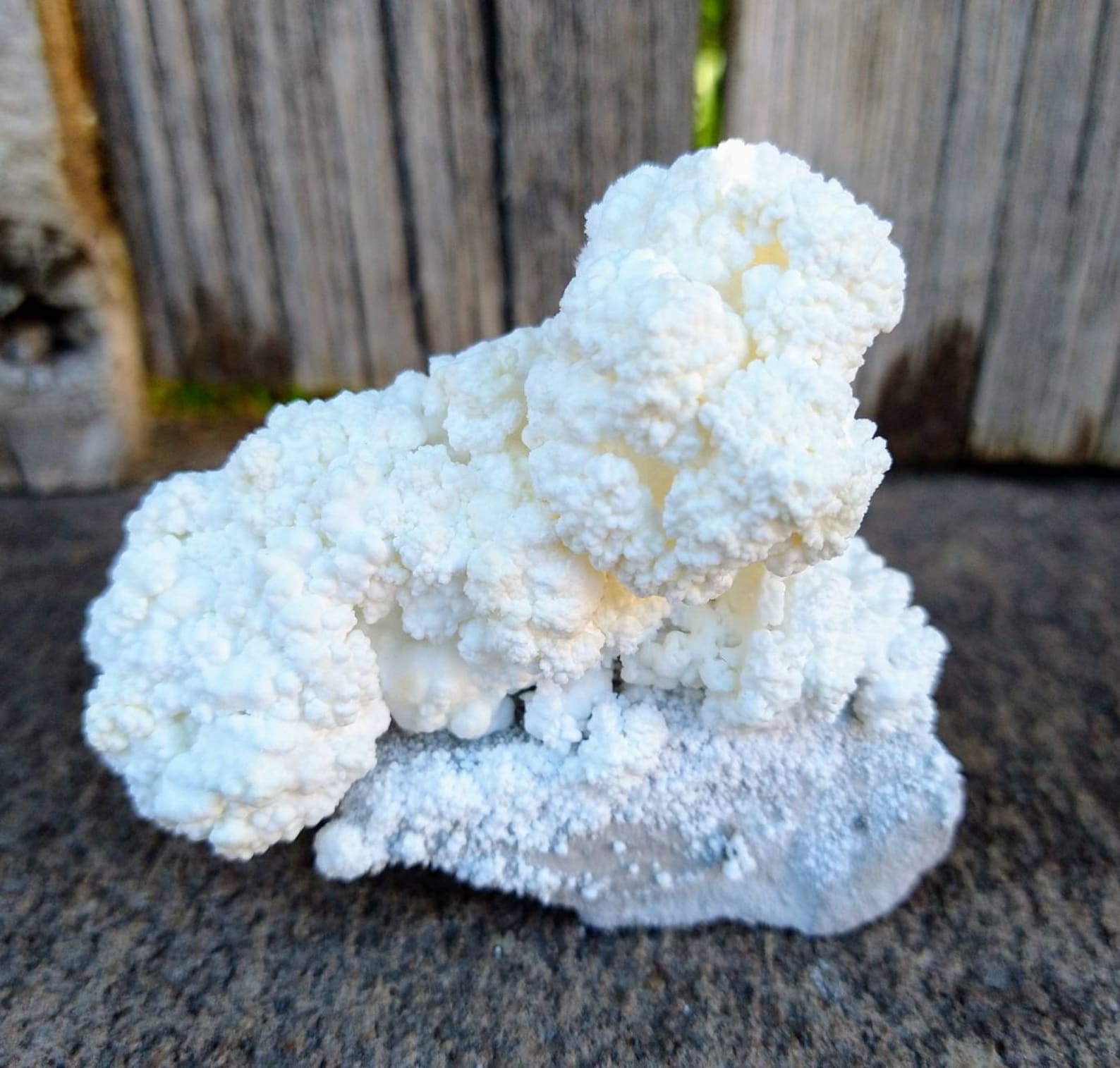 2 Pack BLOOMING ROCK Grow Your Own Crystals Kits - Etsy