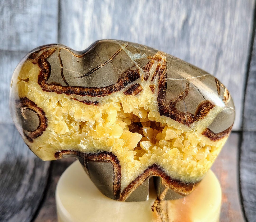 Septarian Nodule Bison Stone Bison Carving Hollow Crystals - Etsy