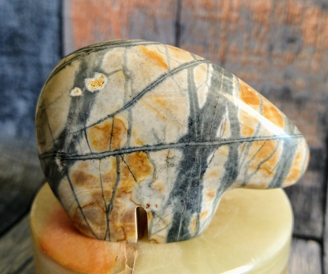 Picasso Stone Bear - Etsy