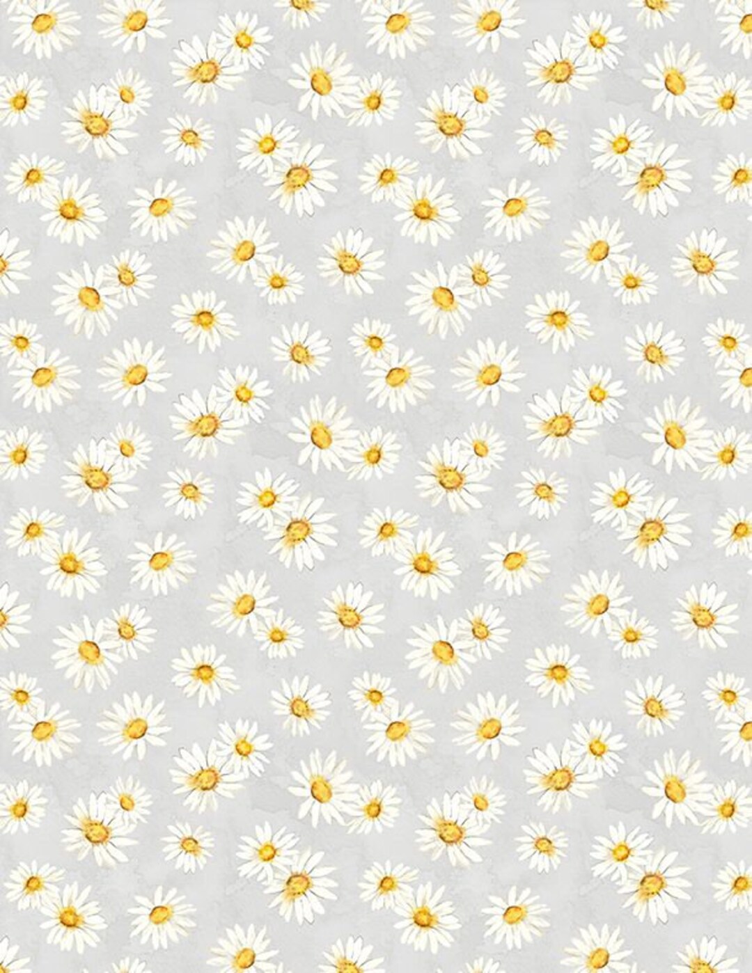 Zest for Life, Daisy Toss Gray 19156 915, Cynthia Coulter, Wilmington ...