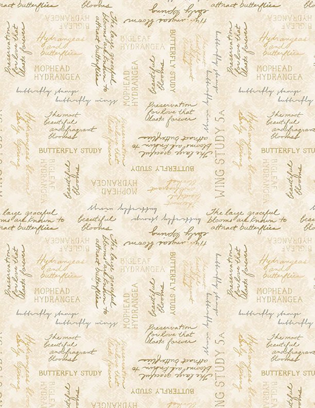 Hydrangea Mist, Word Toss Cream 39824 215, Susan Winget, Wilmington ...