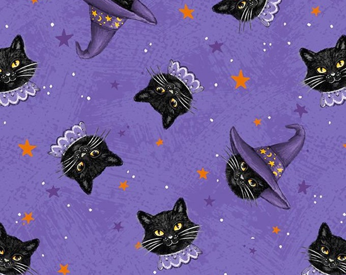 Meow-gical Night, Cat Head Toss Purple 96476 691, Michael Davis for ...