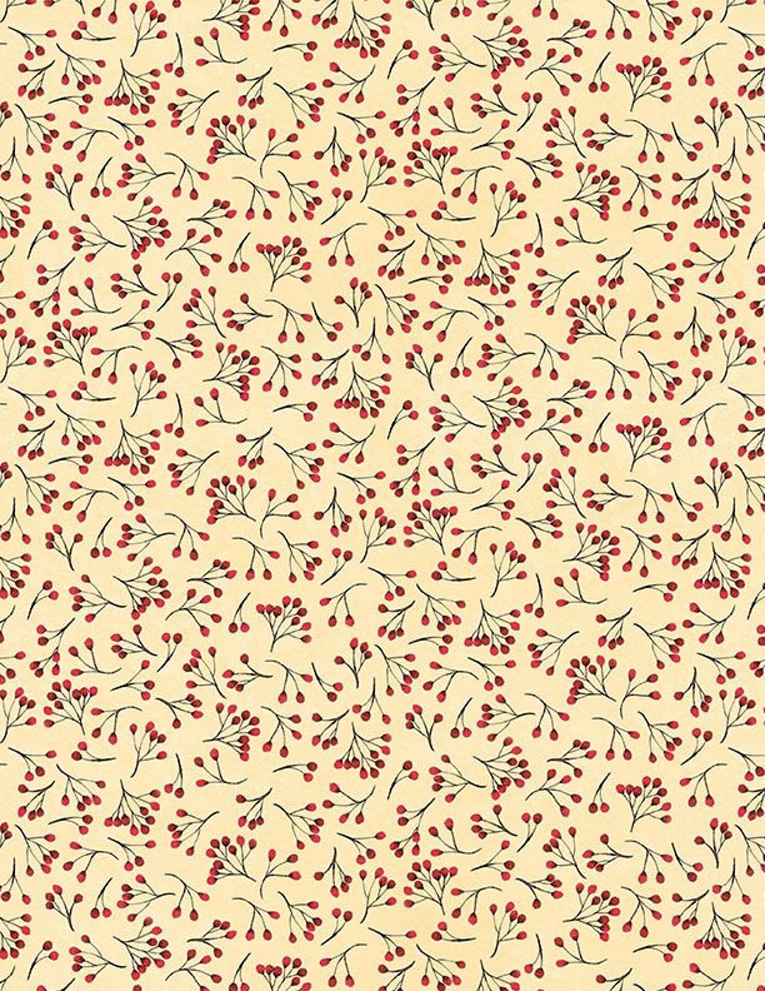 Autumn Light, Berry Toss Cream 32108-132, Lola Molina, Wilmington ...