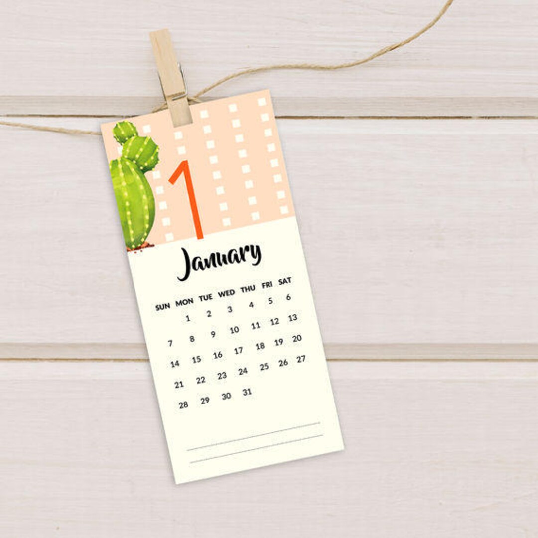 Cactus Design Calendar 2019, Size 9.5/20 Cm, 2019 Illustrated Calendar ...