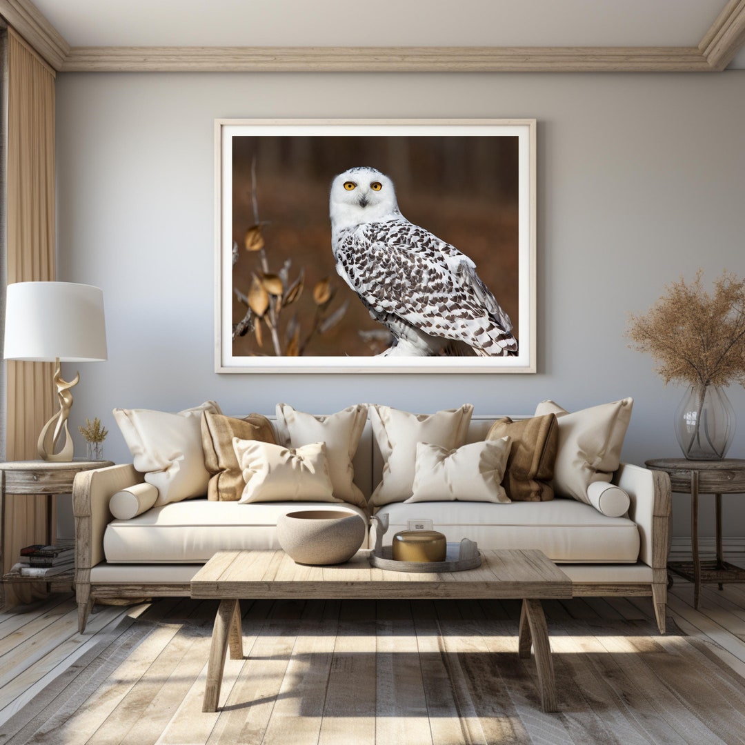 Fine Art Print - Snowy Owl Print - Free Shipping! - Etsy