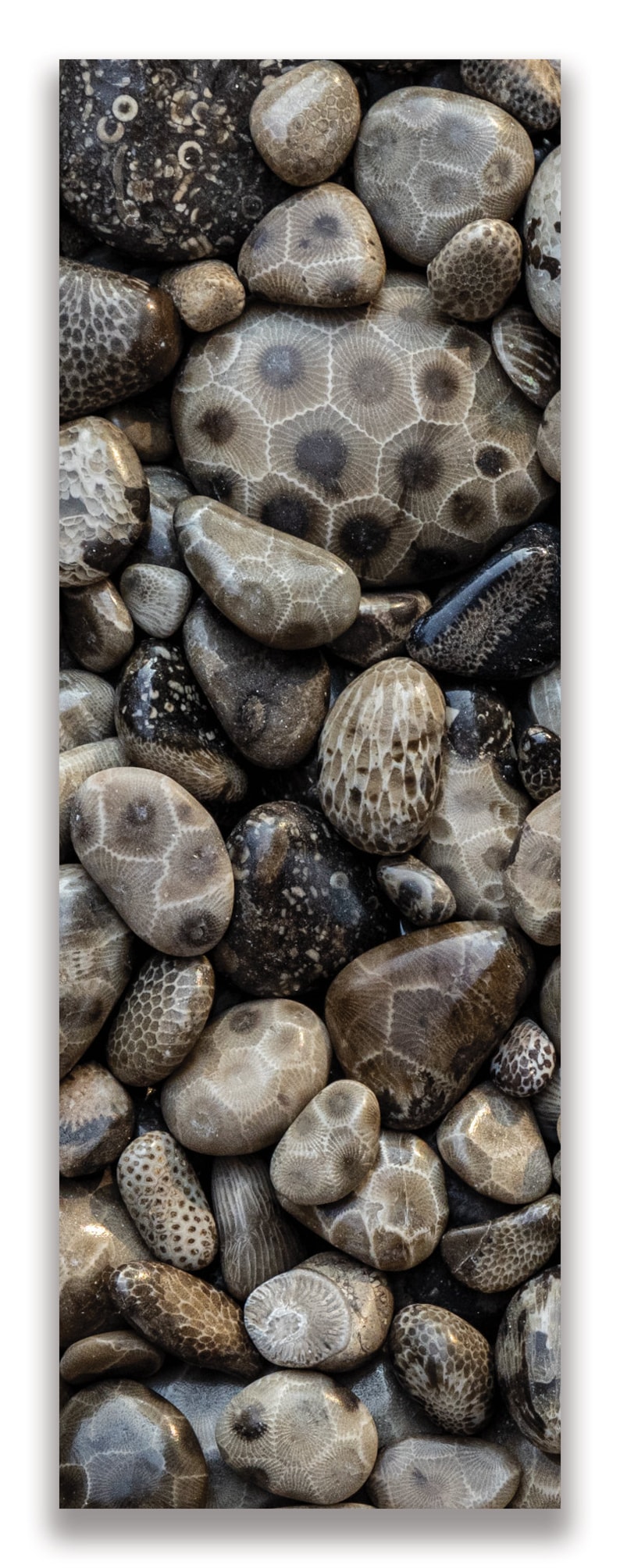 Great Lakes Rock & Stones Bookmark 4-pack With Free Shipping! - Etsy