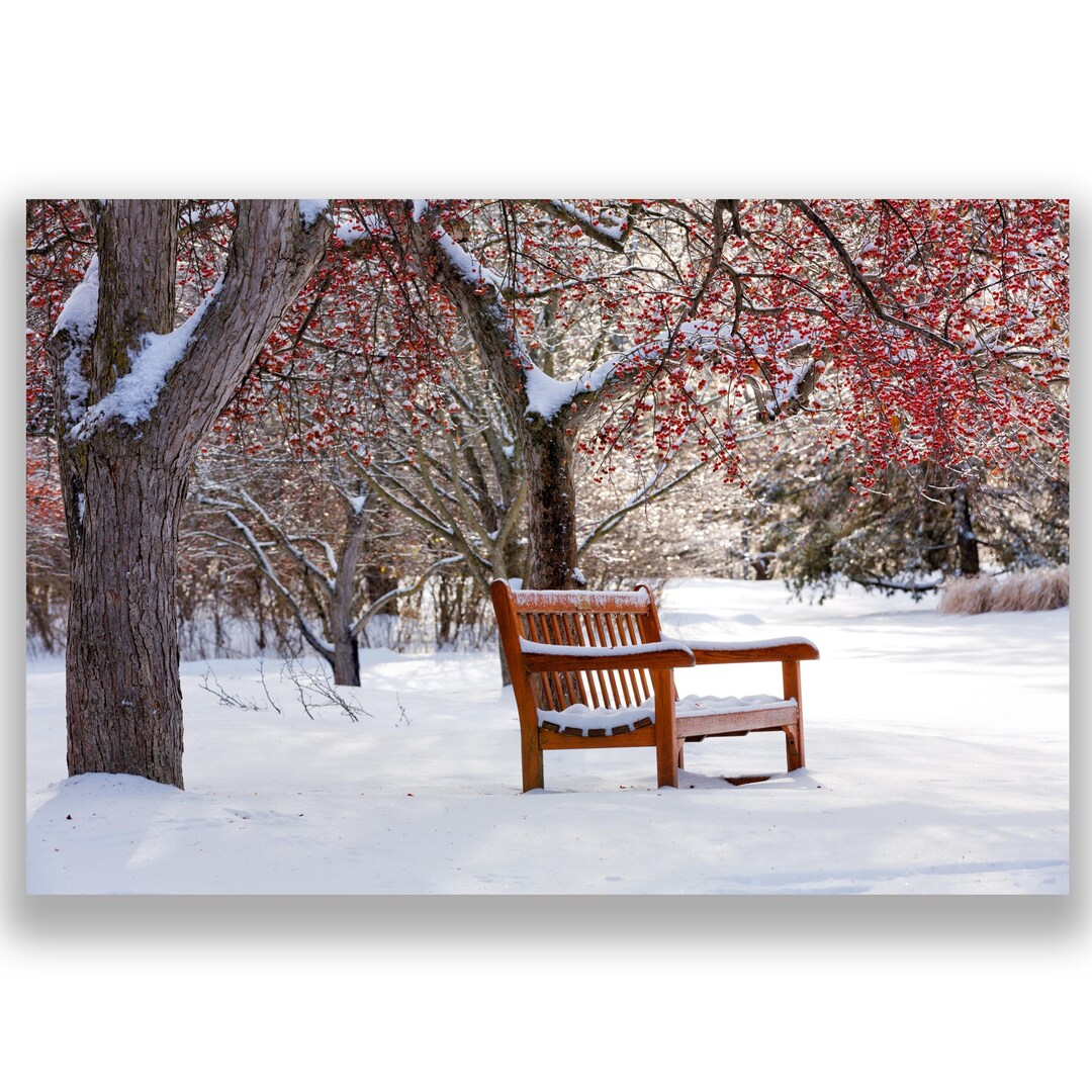 Fine Art Print - Park Bench in Winter With Crabapple Trees - Free ...