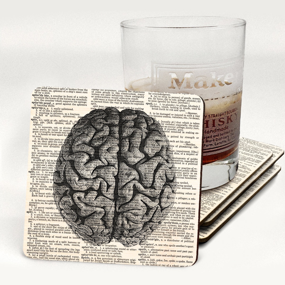 Human Brain Novelty Coasters - Etsy