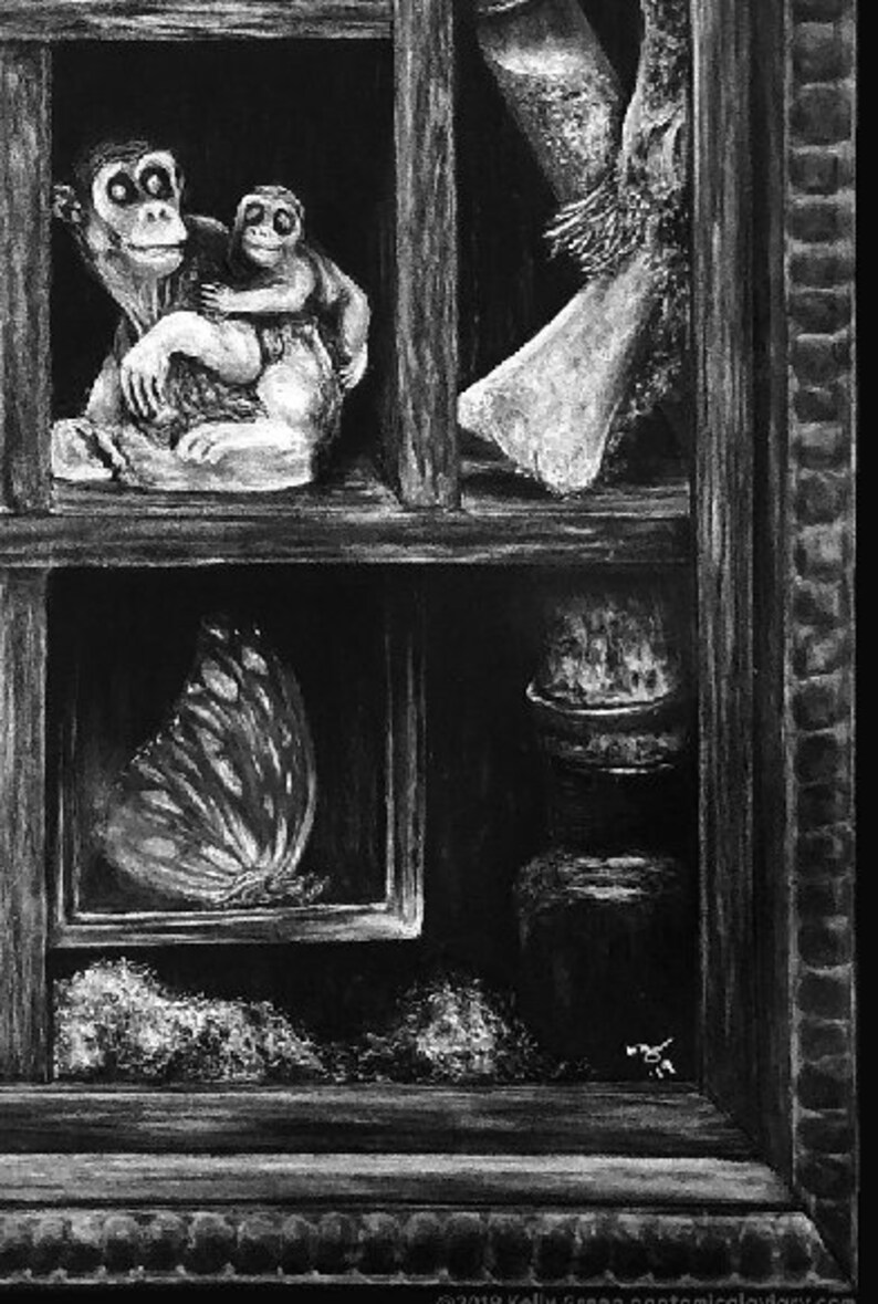 Curio Cabinet Skull Bones Nature Vials Butterfly Feather Teeth - Etsy