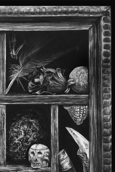 Curio Cabinet Skull Bones Nature Vials Butterfly Feather Teeth - Etsy